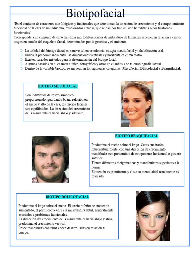 Biotipos Faciales | PDF | Hueso | Cara