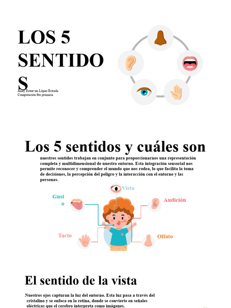 Los 5 Sentidos | PDF | Gusto | Percepción