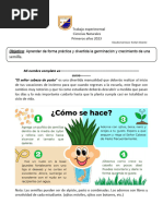 Proyecto-Señor Cabeza de Pasto | PDF