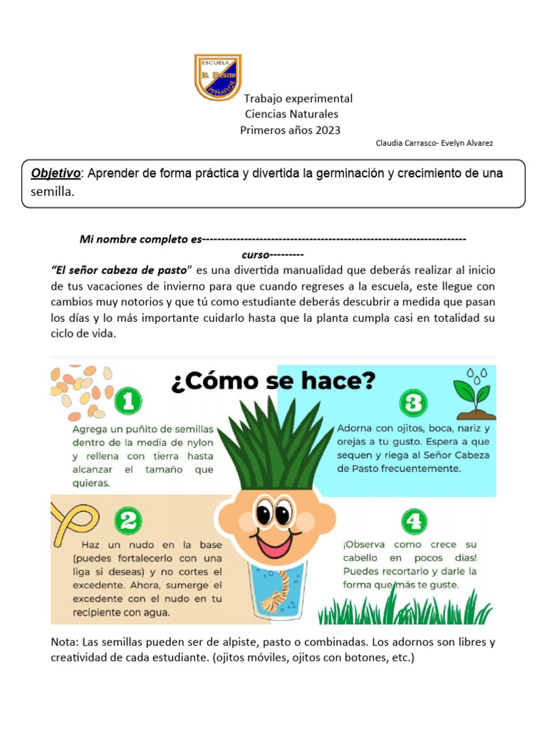 Manualidad: Señor Cabeza de Pasto | PDF | Pasto