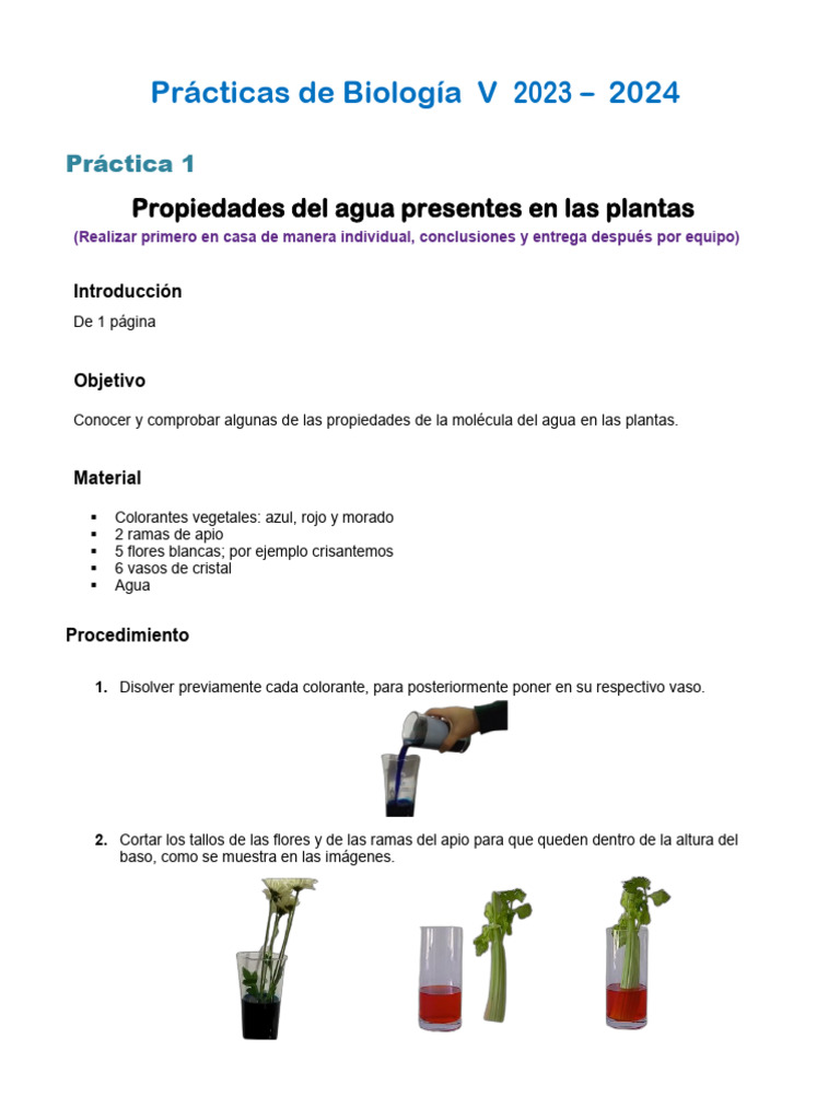 Practicas Bio. V 2023-2024 | PDF | Termorregulación | Dinosaurios