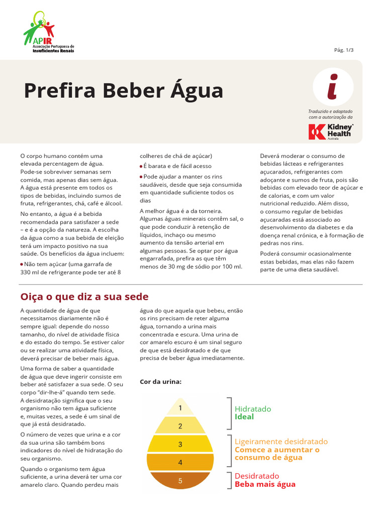 Prefira Beber Água | PDF