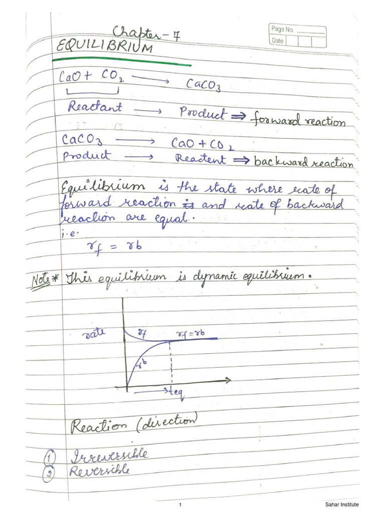 C11 Equilibrium Pdf