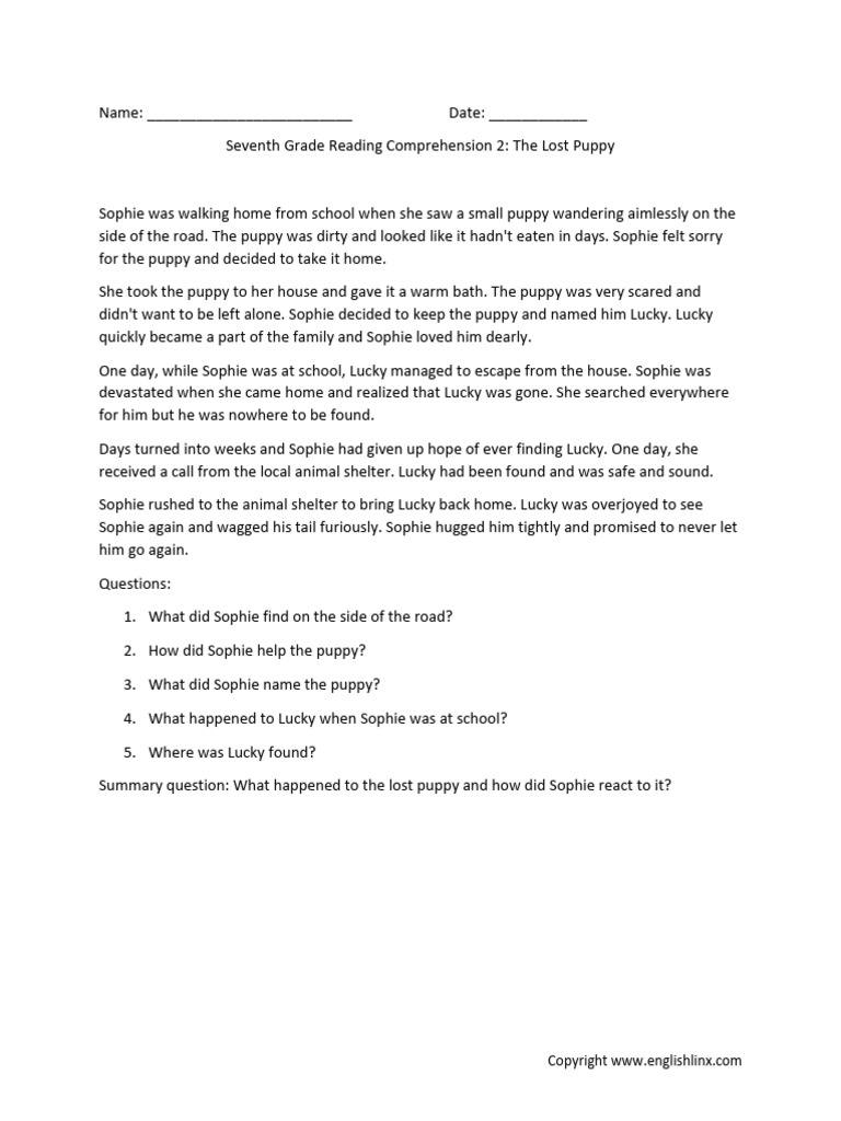 7th Grade Comprehension: The Lost Puppy | PDF