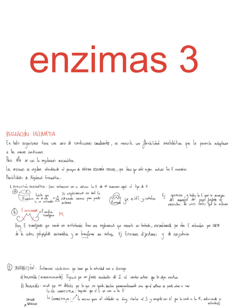 Enzimas 3 | PDF