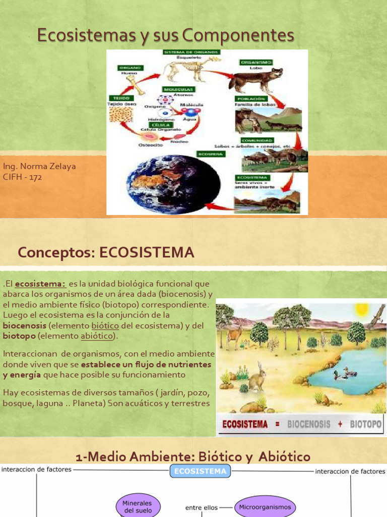 Ecosistemas # 1 | PDF