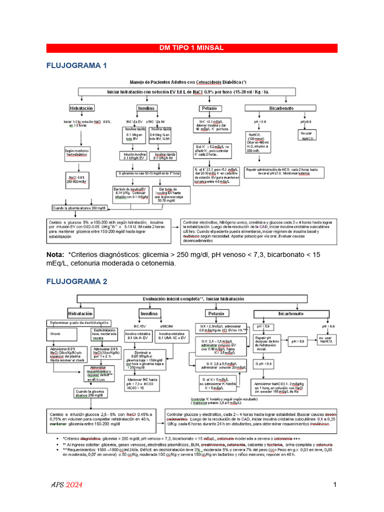 DM Tipo 1 Minsal | PDF | Diabetes | Inyección (medicina)