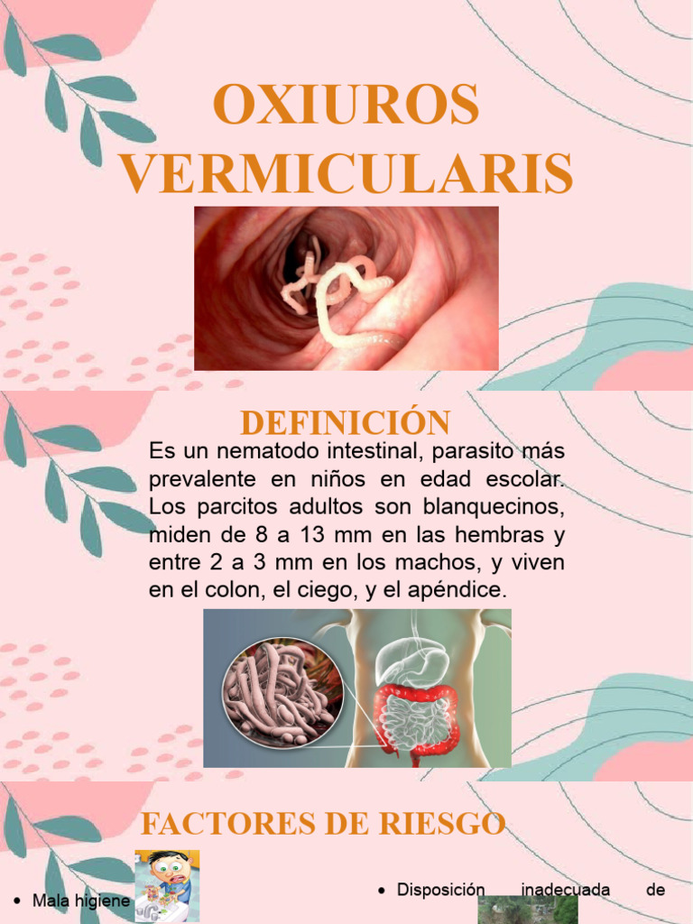 Oxiuros Vermicularis | PDF