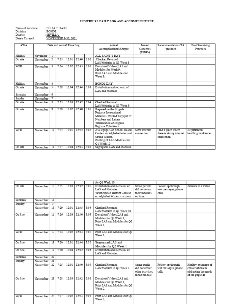 November Daily Log and Accomplishments | PDF