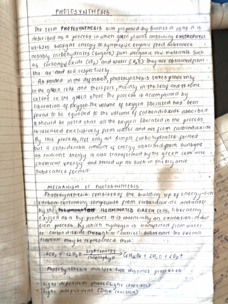 PLB101 Complete Note | PDF