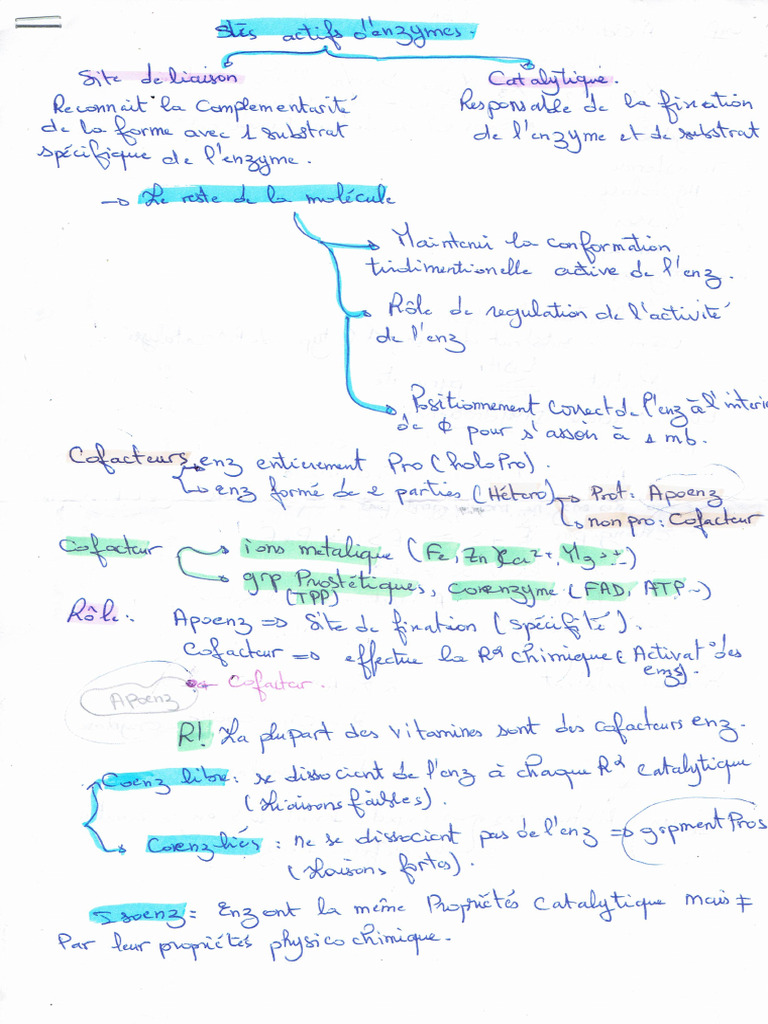 Résumé Chapitre4 Biochimie Structurale | PDF