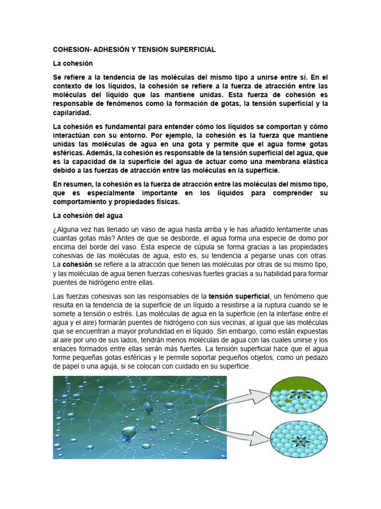 Cohesión, Adhesión y Tensión Superficial | PDF | Adhesión | Tensión ...