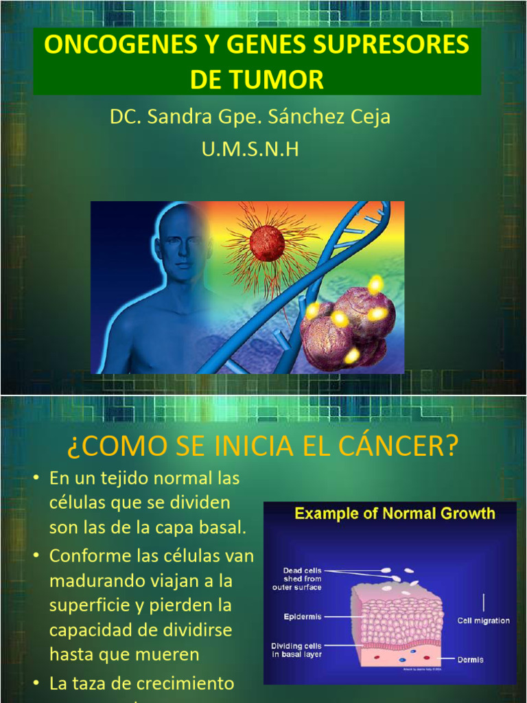 Oncogenes y Genes Supresores de Tumor | PDF | Oncogen | Gen supresor de ...