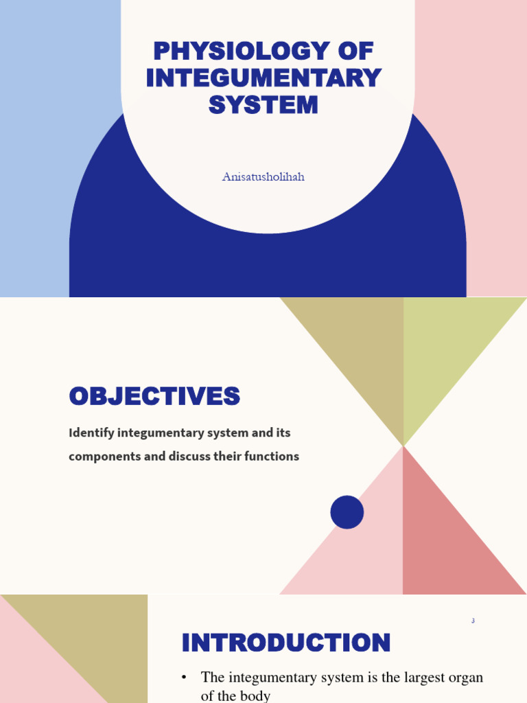 Physiology of Integumentary System | PDF | Integumentary System | Skin