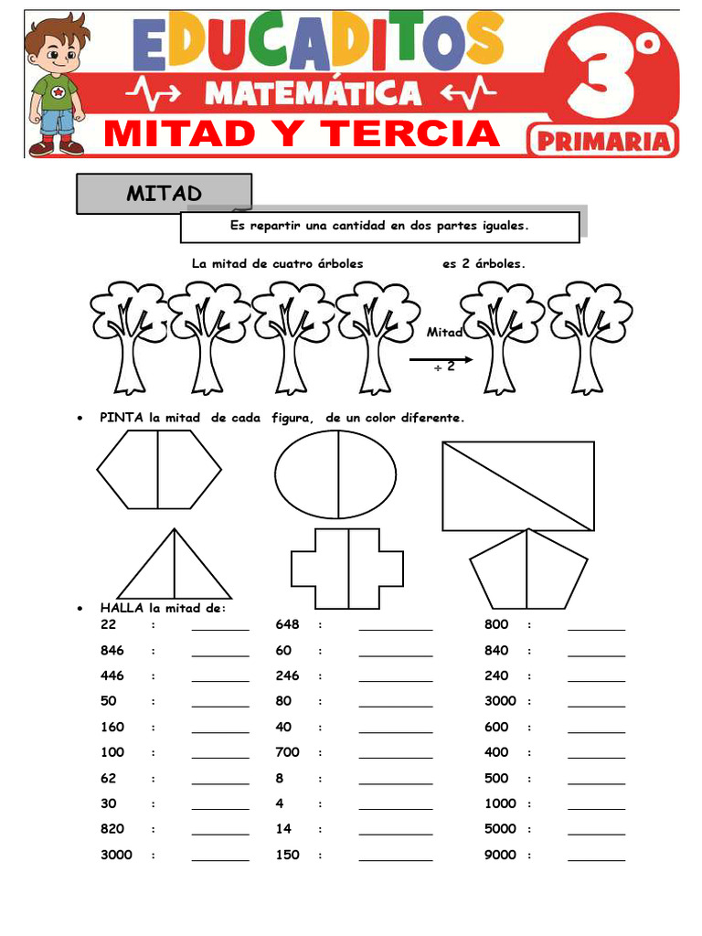 Mitad y Tercia para Tercer Grado de Primaria | PDF | Métodos y ...