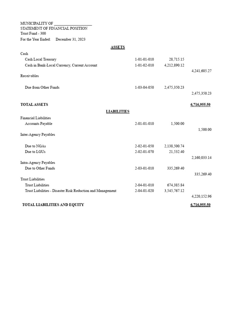 Municipality Trust Fund Financial Statement | PDF