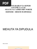 Sepedi Fal Poetry | PDF