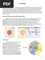 Mitosis Mover Webquest Bioman PDF | PDF | Mitosis | Chromosome