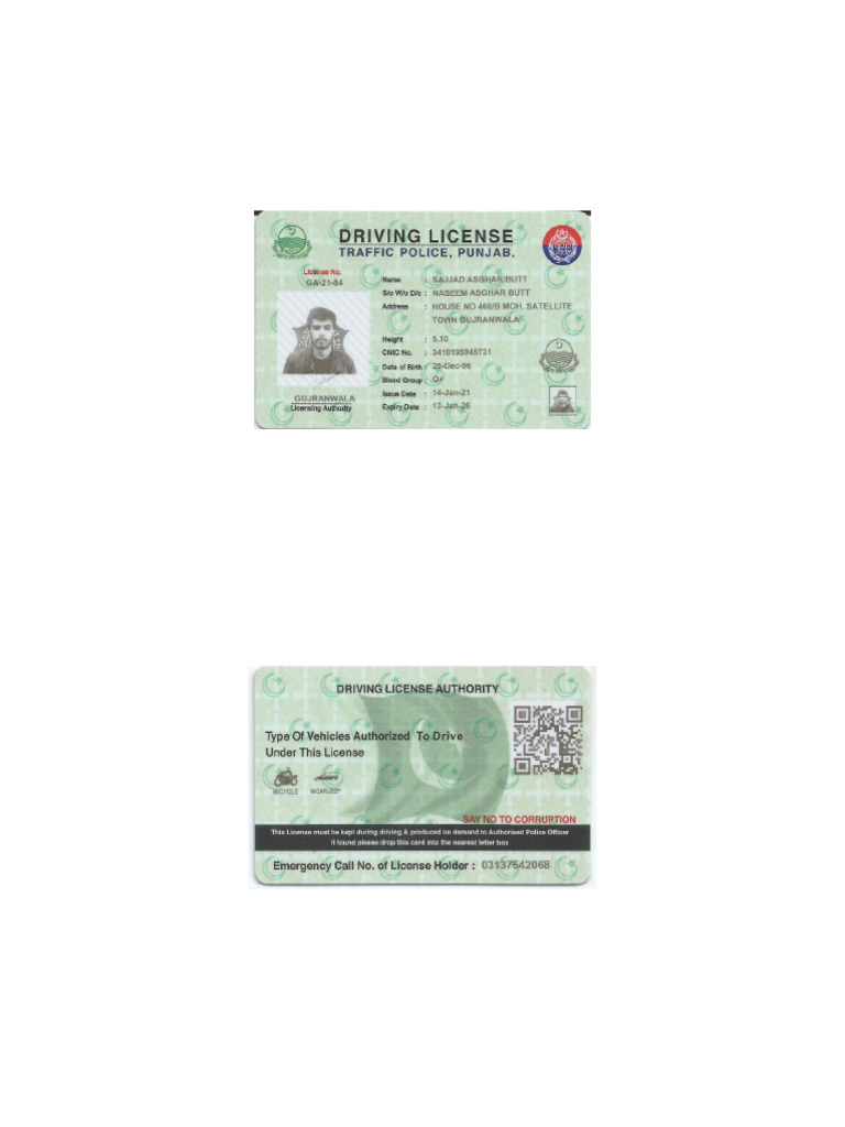 Driver License | PDF