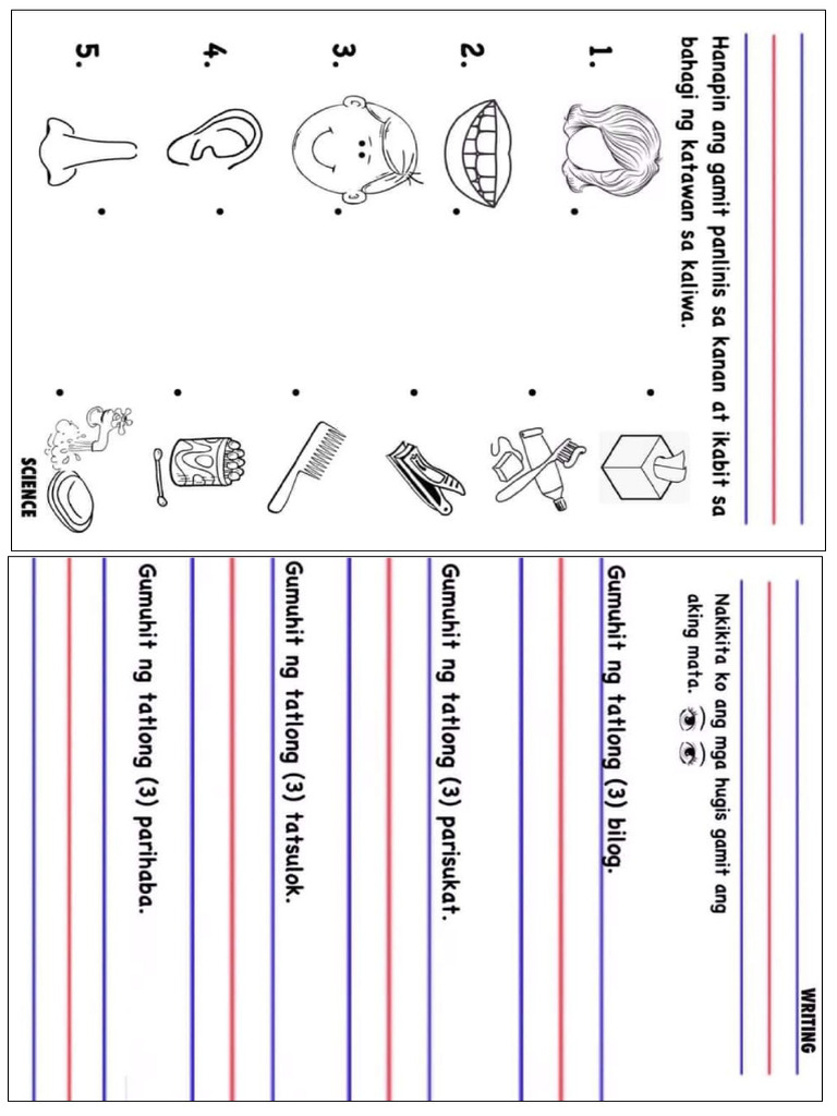Week 6 Activity Sheet | PDF
