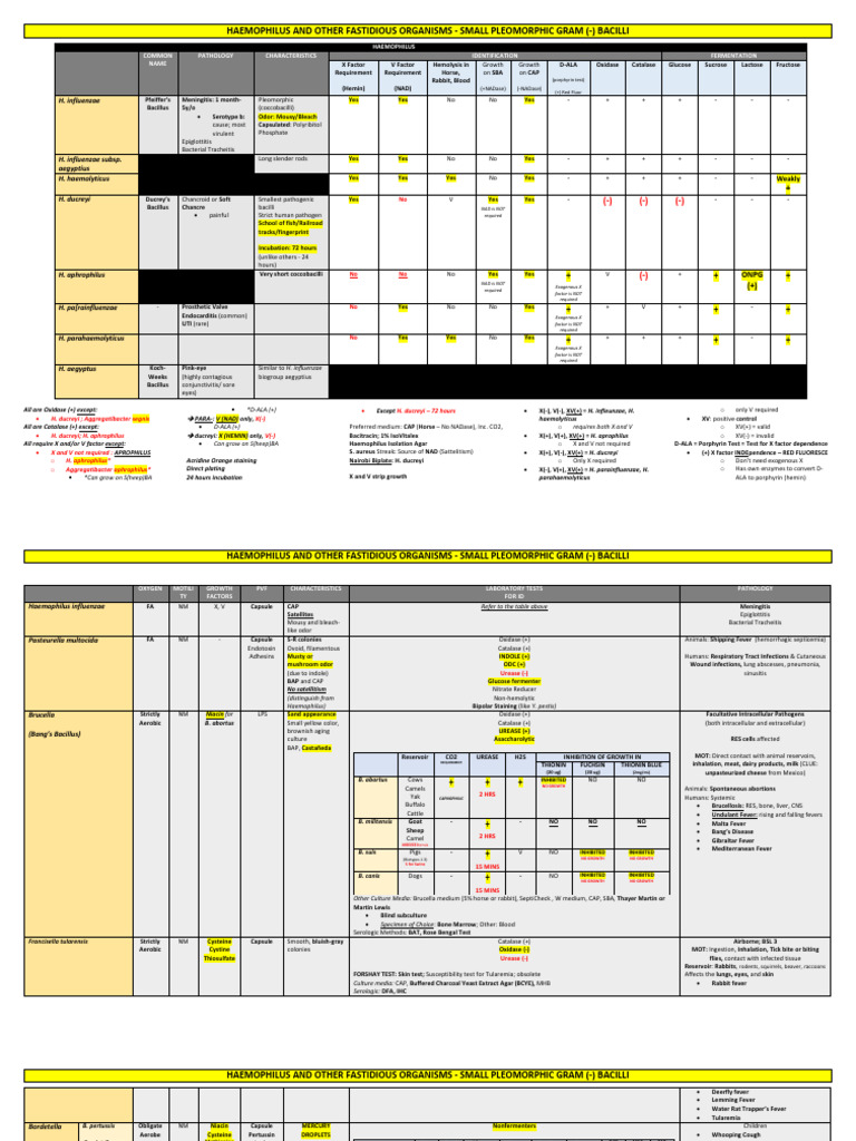 Haemophilus and Other Fastidious Organisms - Small Pleomorphic Gram ...