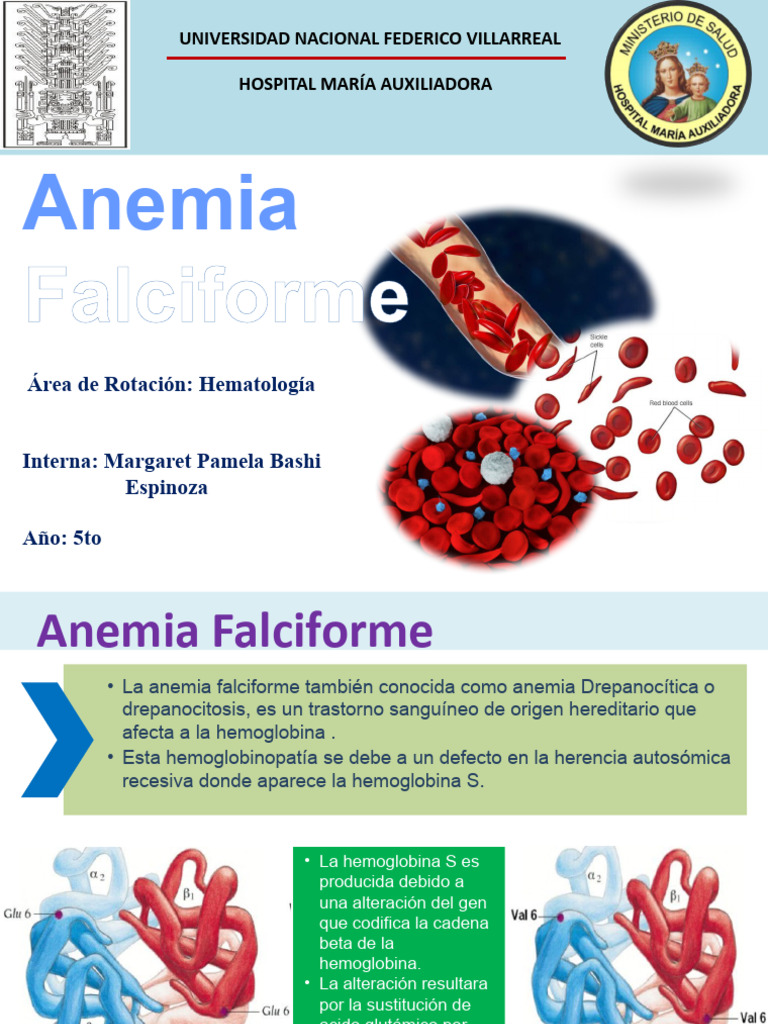 Anemia Falciforme | PDF | Anatomía | Causas de la muerte