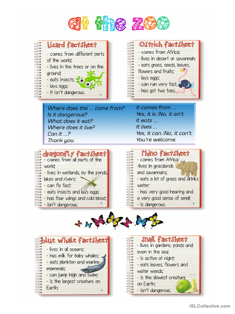 At The Zoo - SPEAKING ACTIVITY | PDF