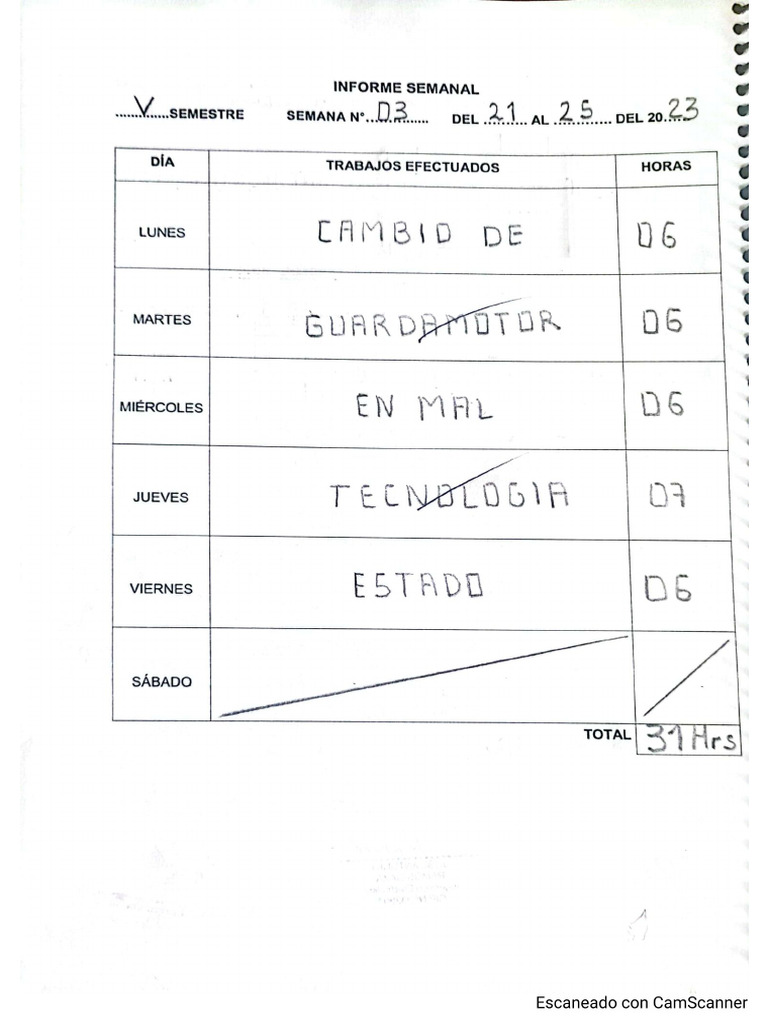 Cuaderno de informe Sem 3 | PDF