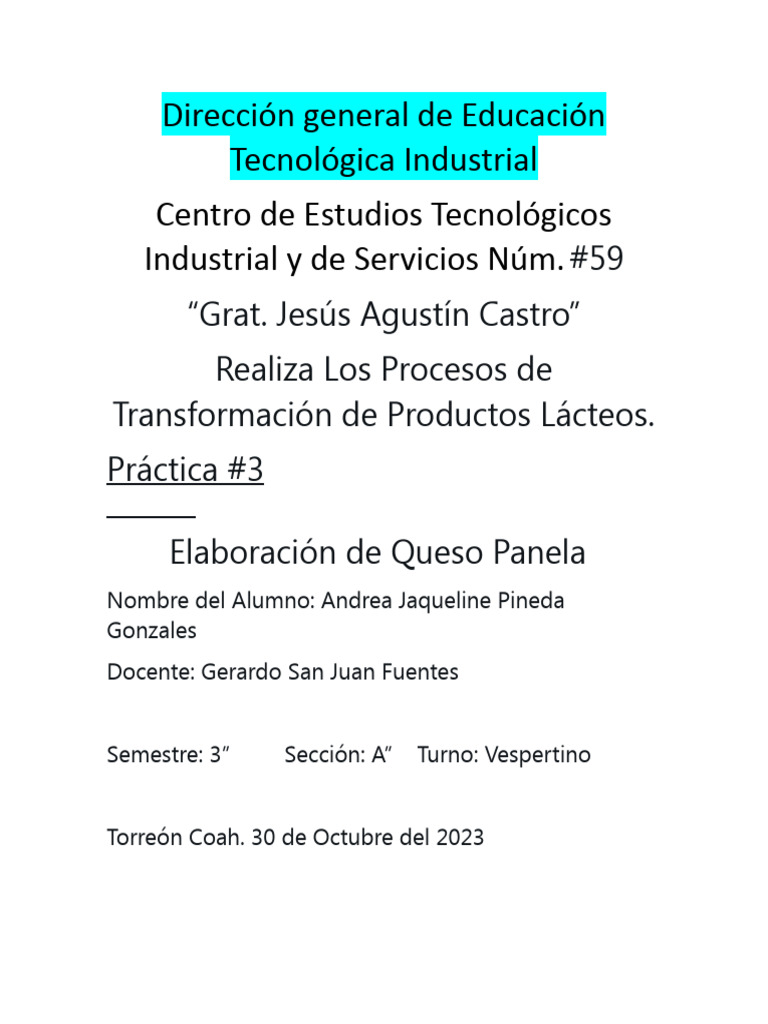 Practica 2 | PDF | Queso | Leche