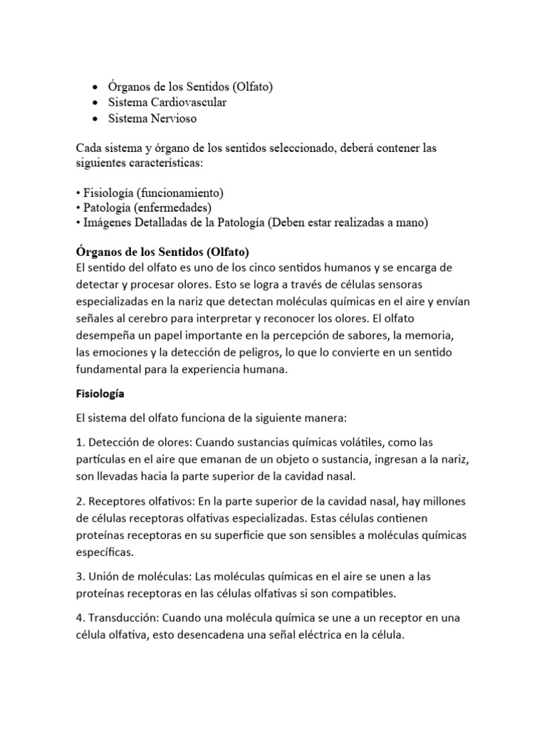 Organos de Los Sentidos 88.docx 22 | PDF | Corazón | Sistema circulatorio