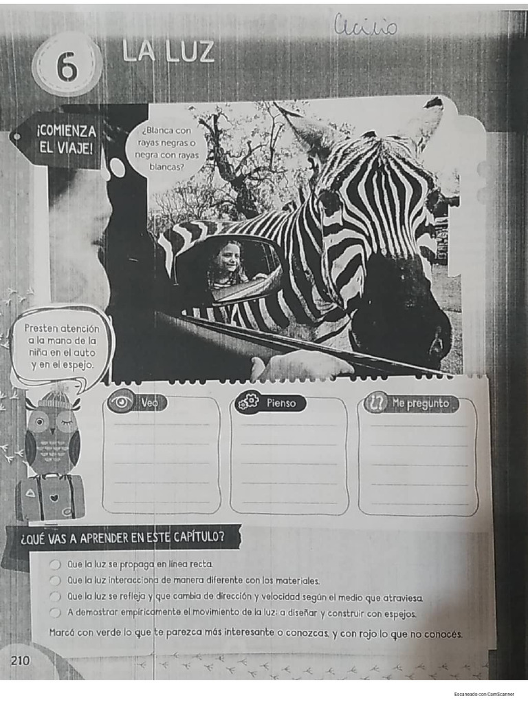 Contenido Proyecto Primaria La Luz | PDF