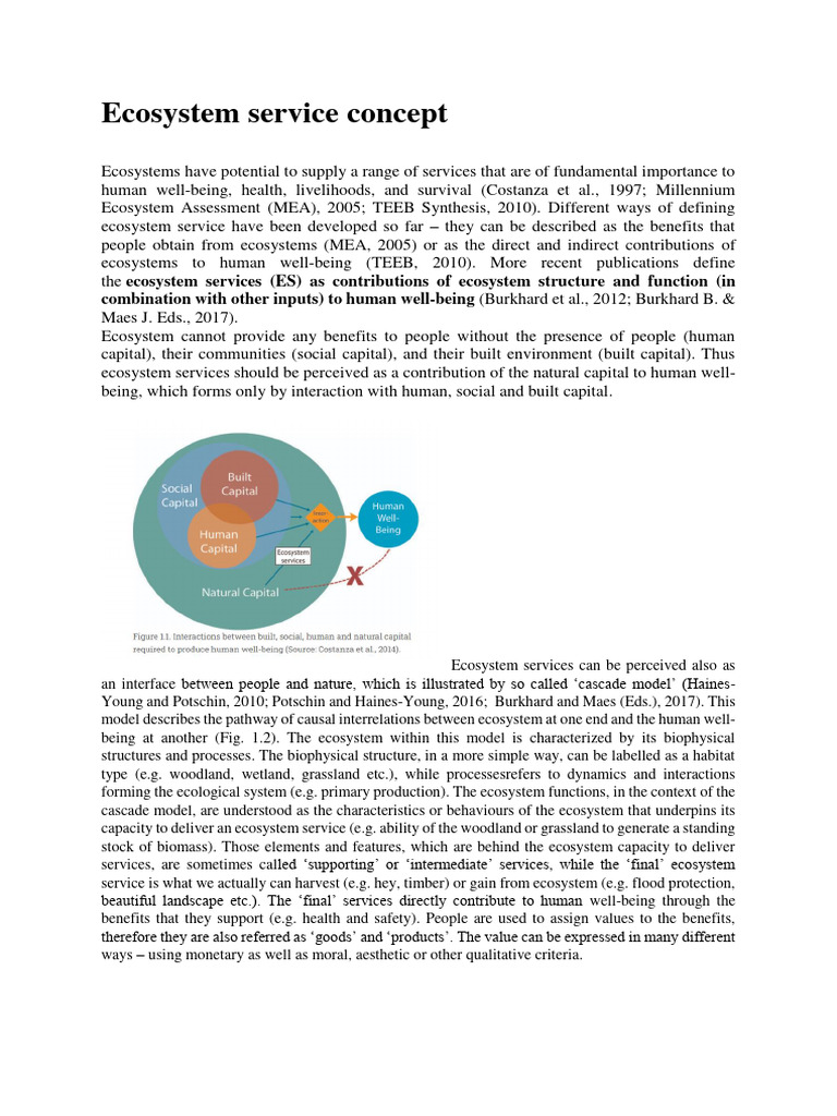 Ecosystem Service Concept | PDF | Ecosystem | Biodiversity