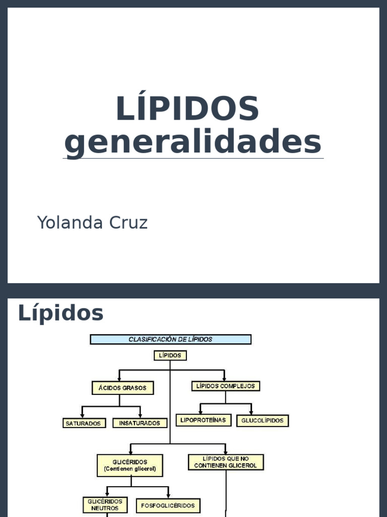 Clasificación de los Lípidos | PDF | Lípido | Triglicéridos