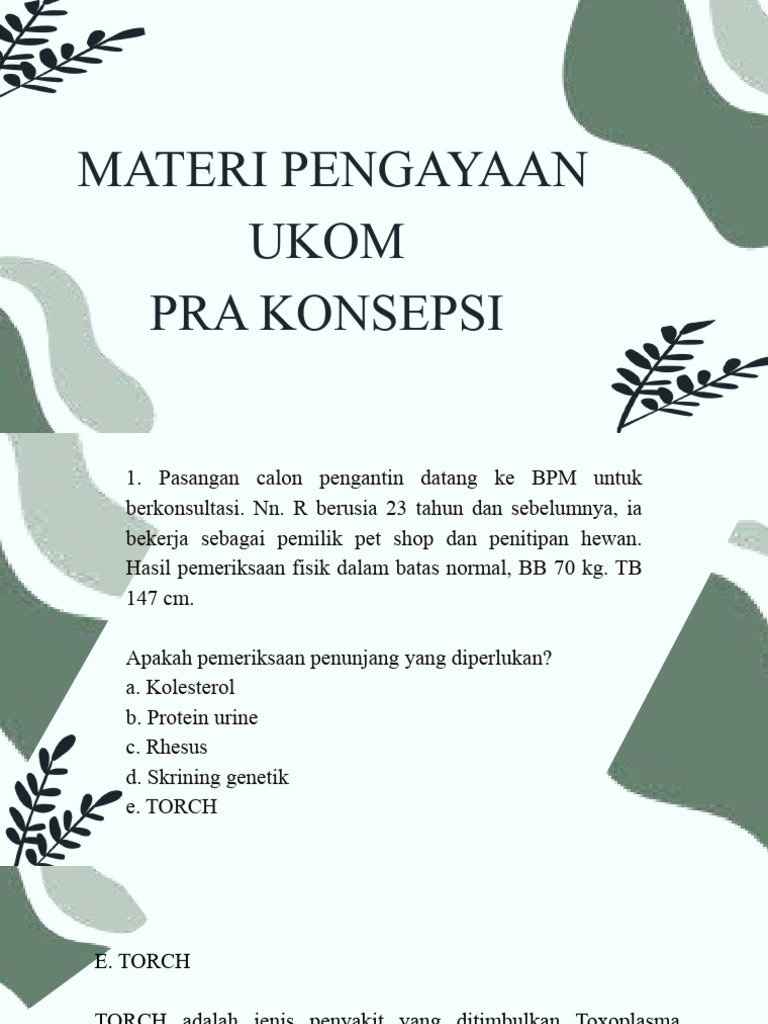 Pra Konsepsi | PDF