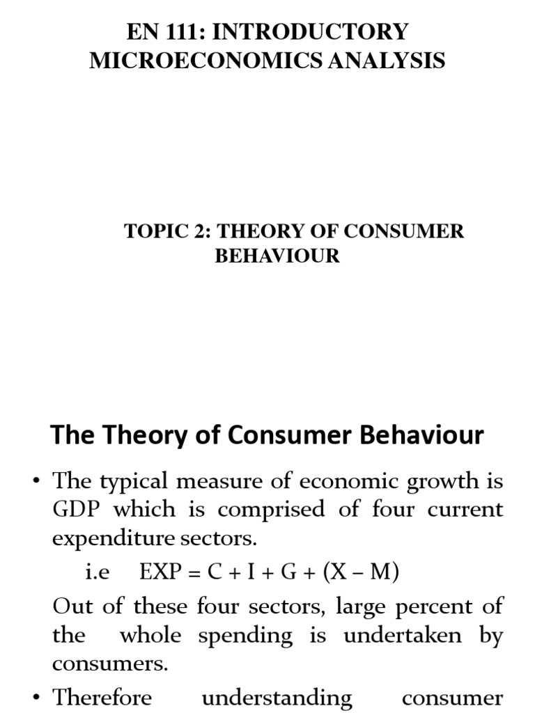 Consumer Behaviour (En111) 2 1 | PDF | Utility | Consumption (Economics)