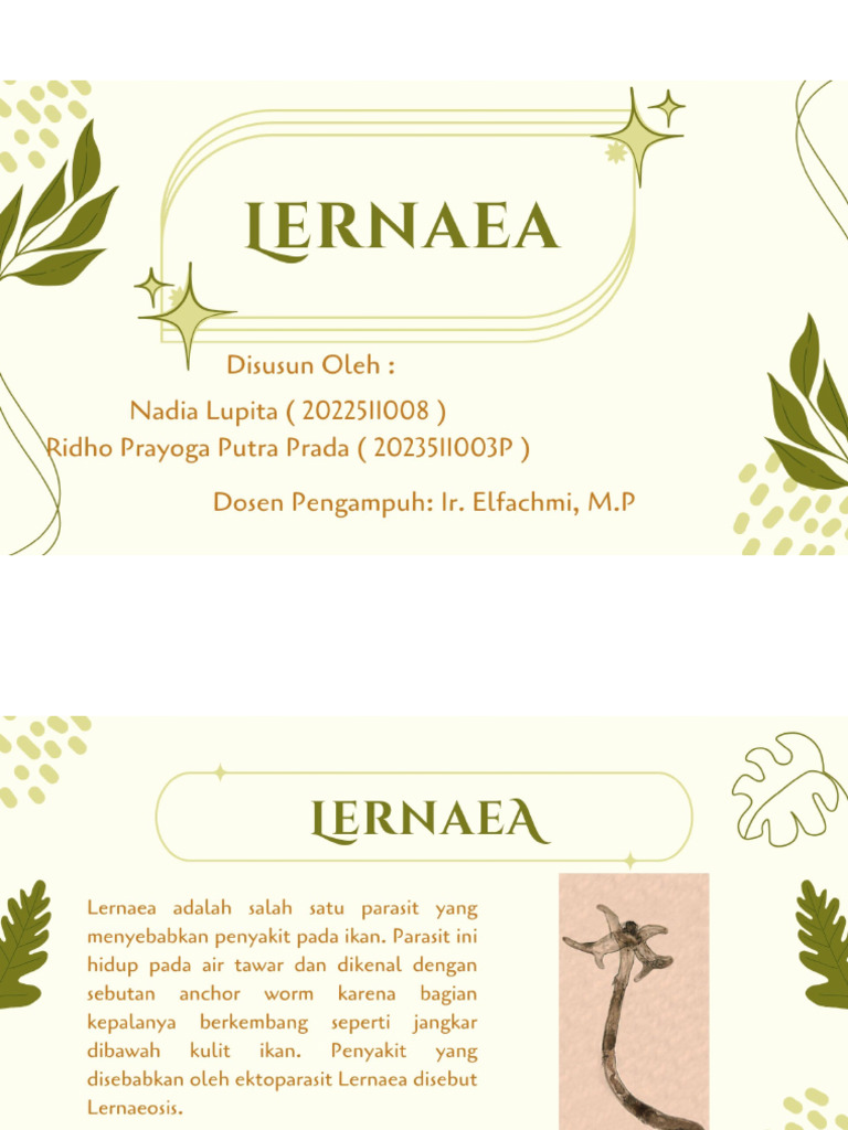 Lernaea (Nadia & Ridho) | PDF