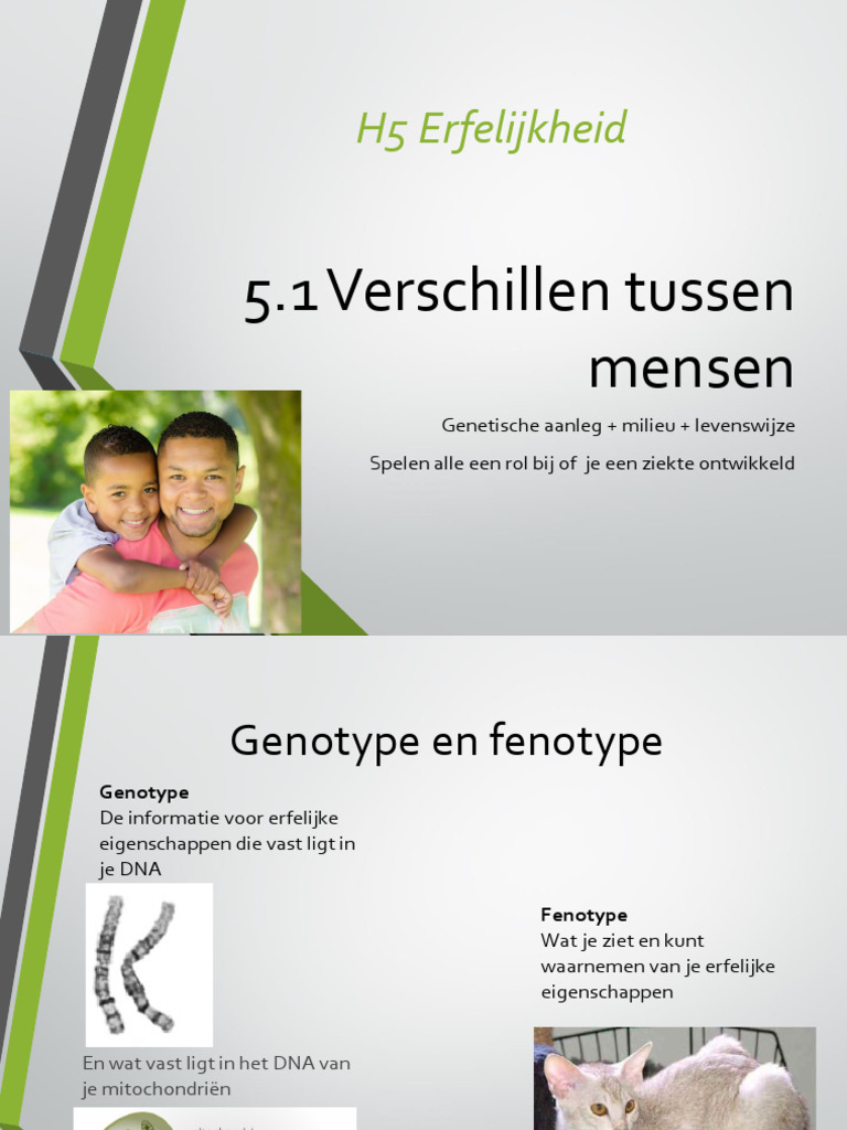 H5 en 7.5 Erfelijkheid, Genetica en Hardy-Weinberg | PDF