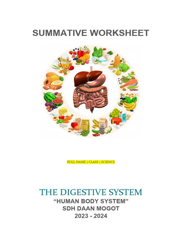 Digestive System Summative Worksheet | PDF | Digestion | Nutrition