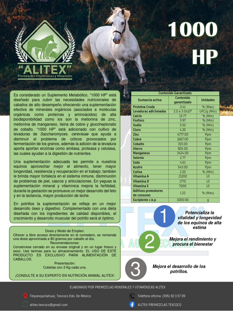 Caballo 1000 HP | PDF