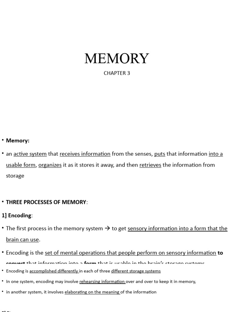 Chapter 3 Memory | PDF