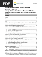 Catheter Care Plan | PDF | Catheter | Medical Specialties