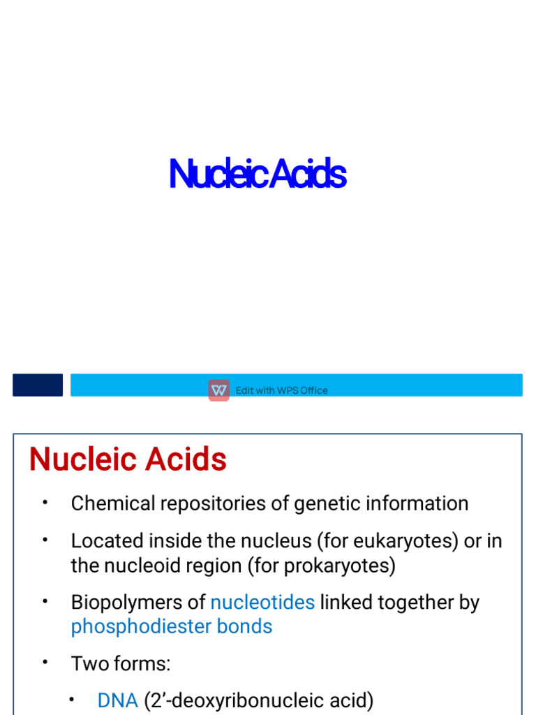 Nucleic Acid | PDF | Nucleotides | Histone