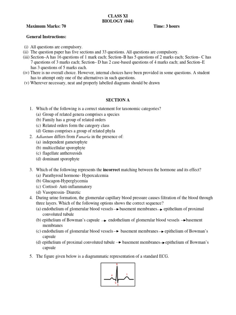 F Biology SQP 2023-24 | PDF | Nervous System | Meiosis