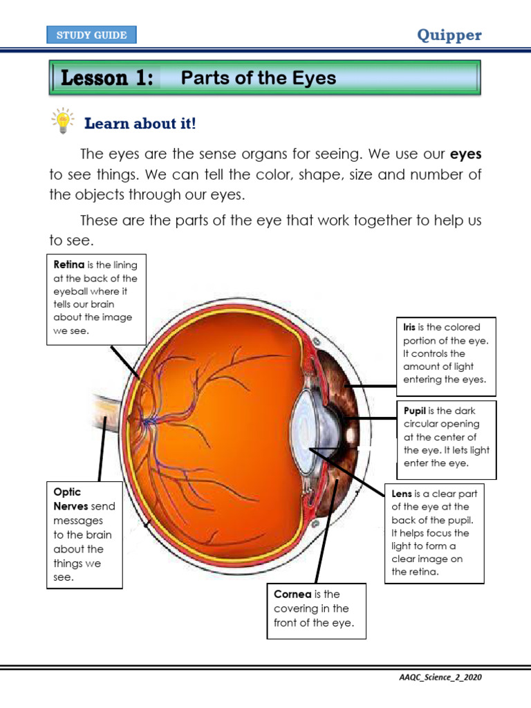 G2 Science Unit 1-Lesson 1 | PDF