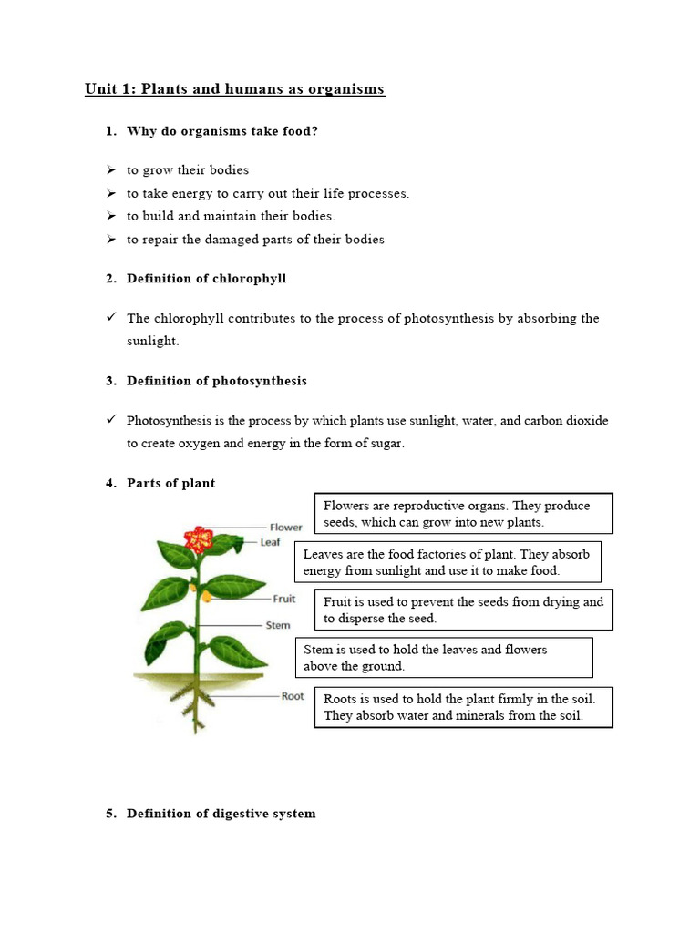 Note For Combined Science Y7 Chapter 1 | Download Free PDF | Foods ...