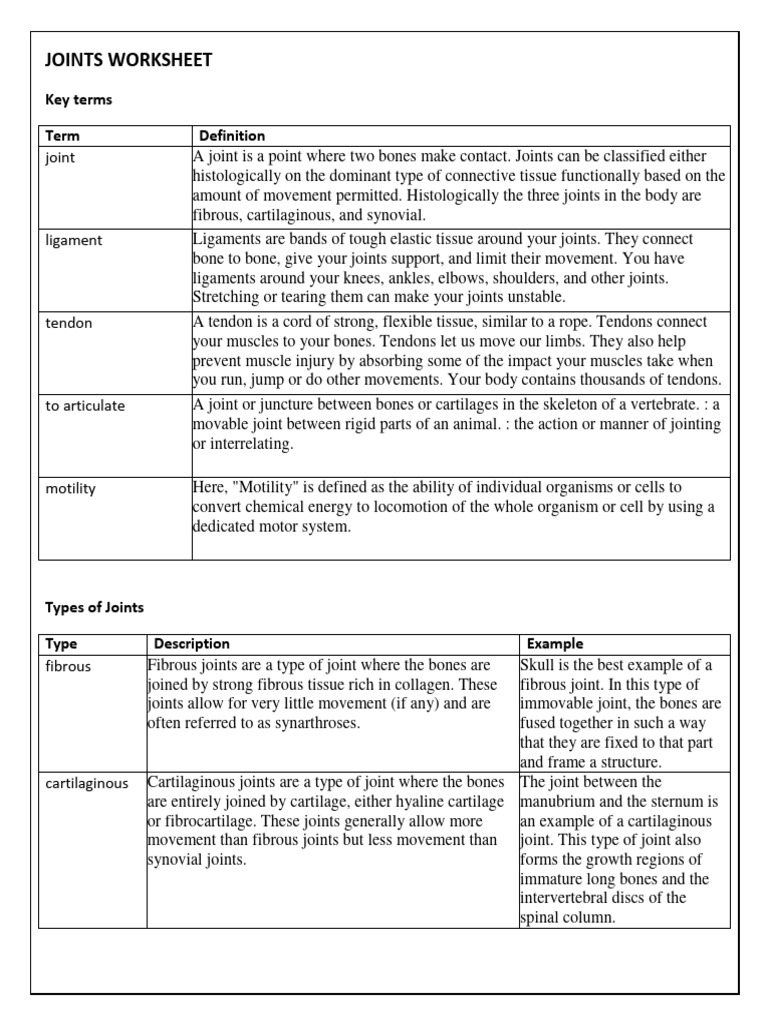 SEDS11 Bones Worksheet Answers | PDF | Anatomical Terms Of Motion | Knee