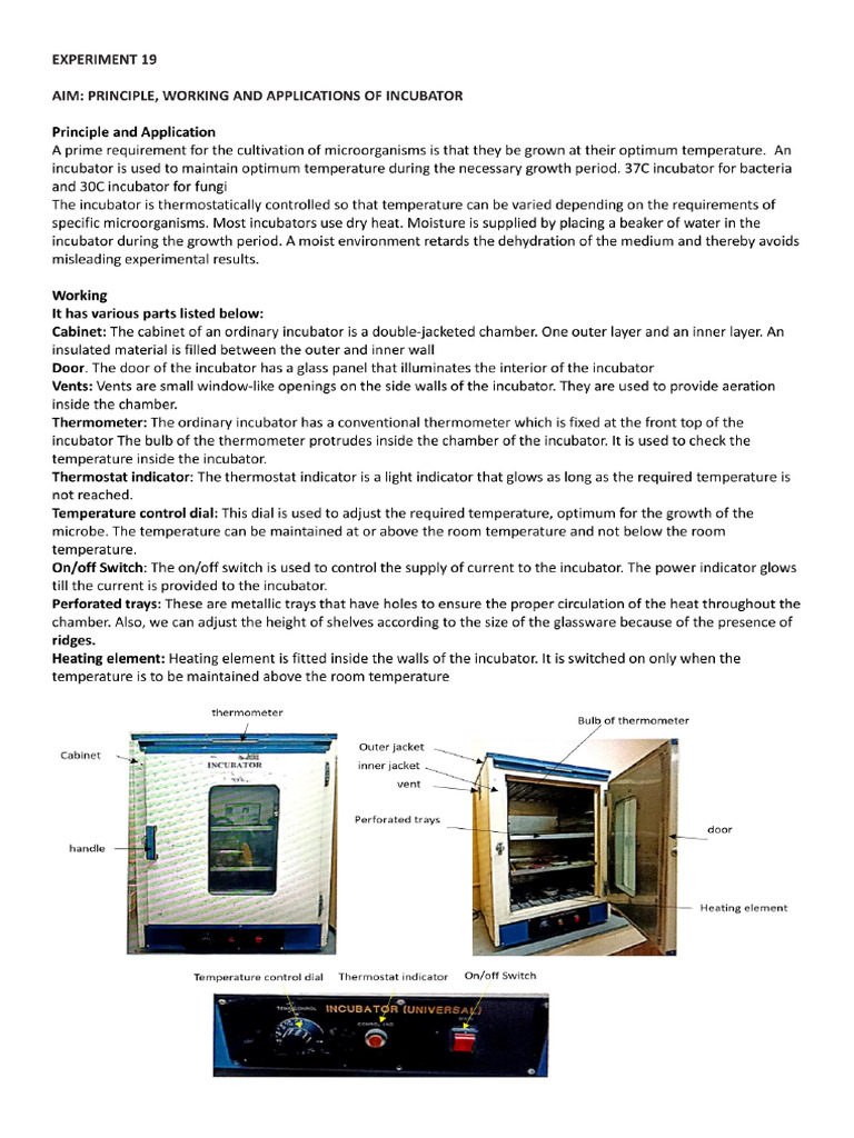 Experiment 19 Incubator | PDF