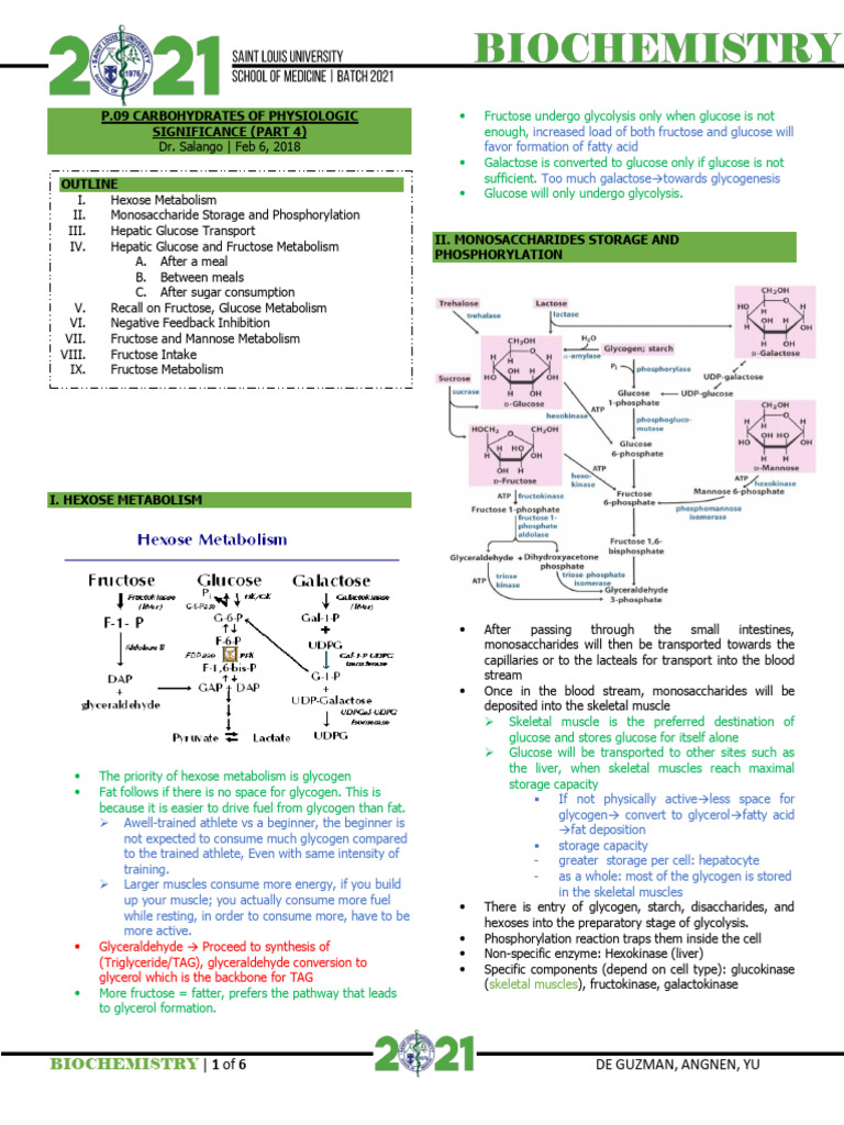 Hexose Metabolism and Carbohydrate Storage | PDF | Fructose | Glucose