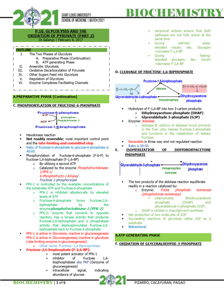 P.10. GLYCOLYSIS AND THE OXIDATION OF PYRUVATE PART 2 Dr. Salango | PDF | Glycolysis | Adenosine ...
