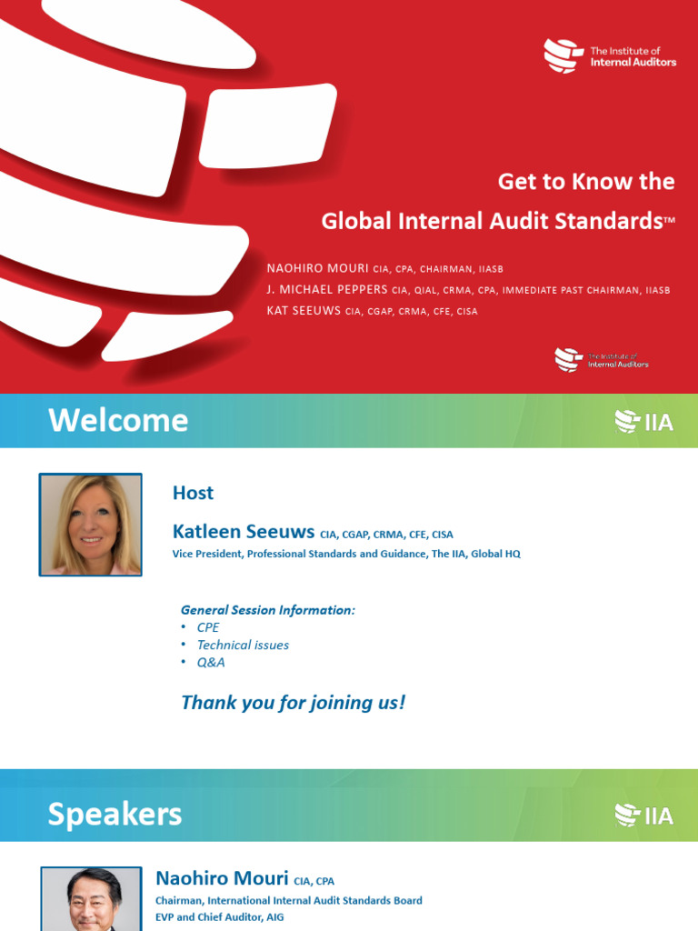 Global Internal Audit Standards 2024 | PDF | Internal Audit | Audit
